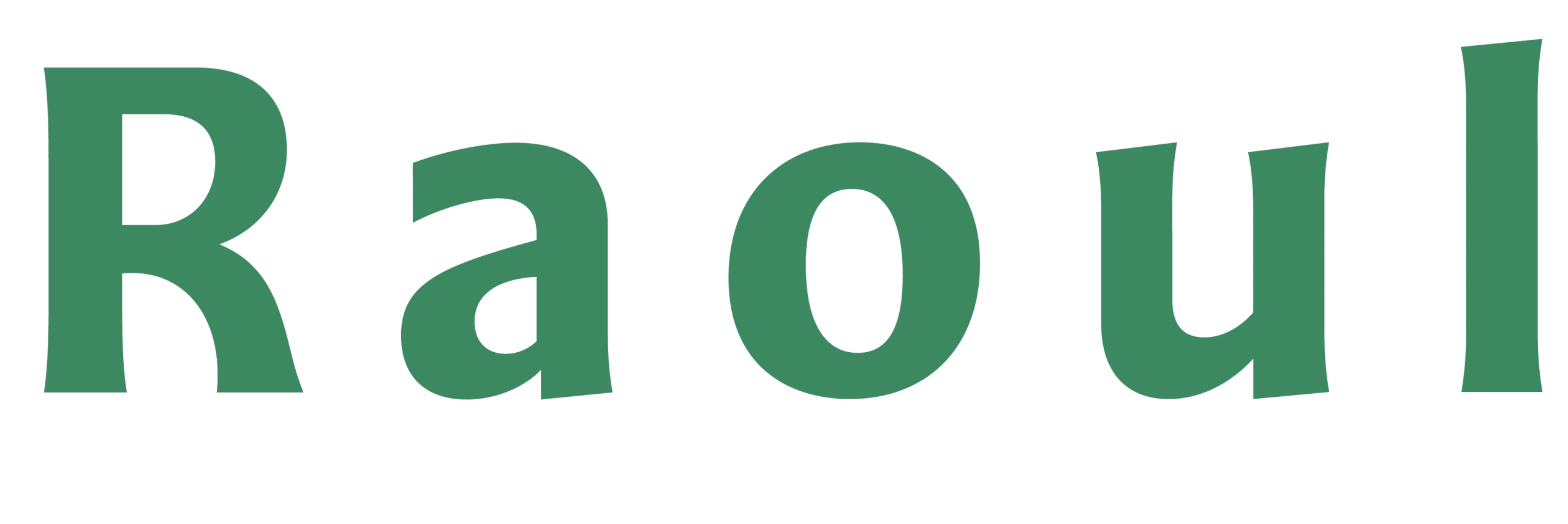 Homepage - Raoul Oei